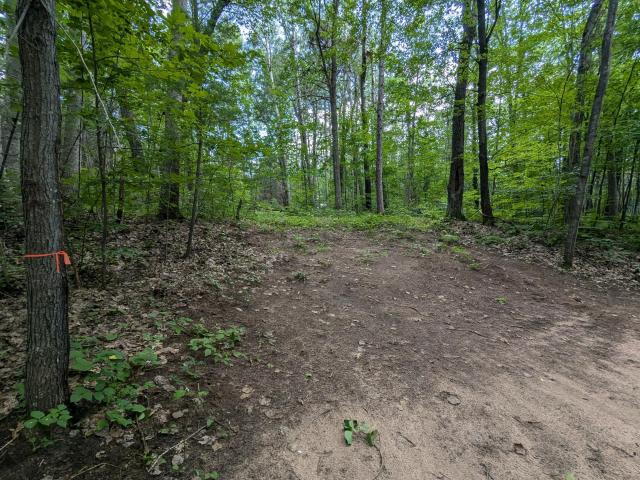 Lot 3 Fosmo, Webster, WI 54893 | MLS #7041