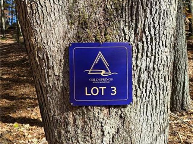 Lot 3 Gold Ridge Trail, Blue Ridge, GA 30513 | MLS #7715 | Compass