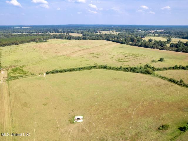 Lot #3 Grady Lewis Road