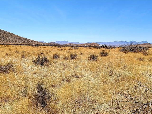 Lot 3 Highway 181, Unit 3, Pearce, AZ 85625 | MLS #6858 | Compass