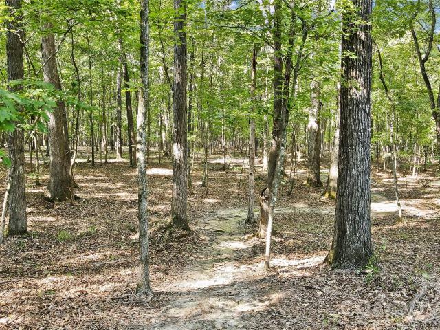 Lot 3 Indian Trail Fairview Road
