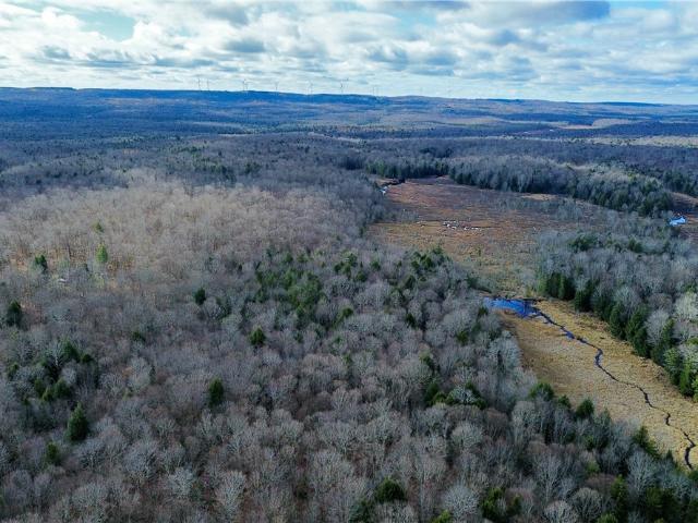 Lot 3 Jerseyfield Road