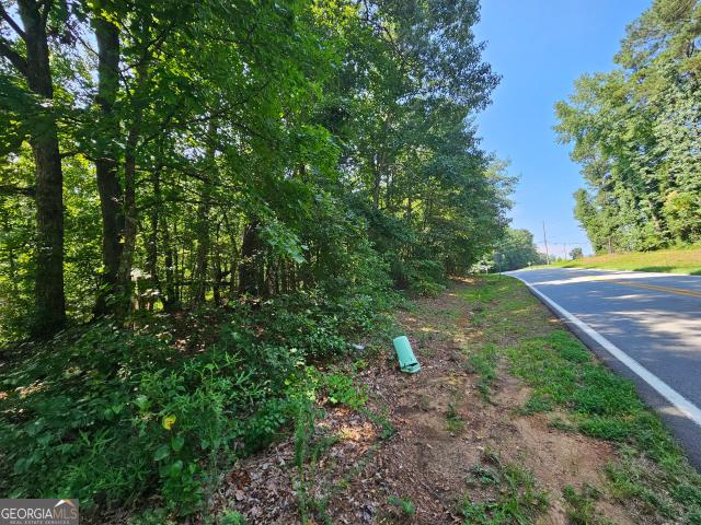 LOT 3 June Ivey Rd