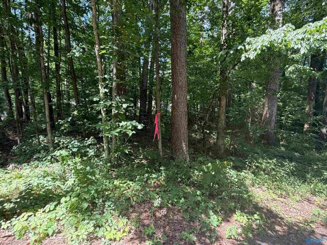 LOT 3 Kristi Lane