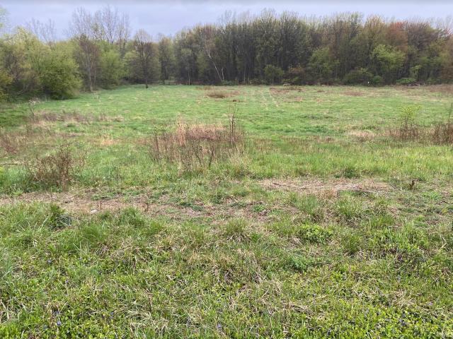Lot 3 Lake Trail Road