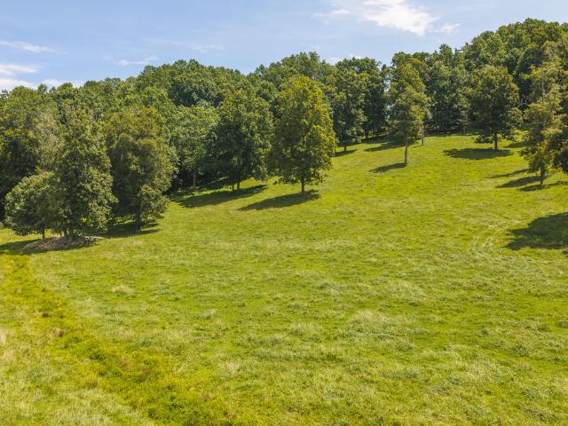 Lot 3 Long Level Rd