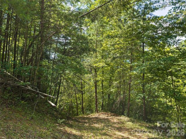 Lot 3 Loggers Pass Lane
