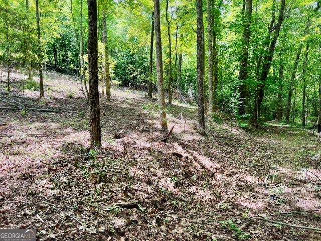 LOT 3 Lower Fox Trail