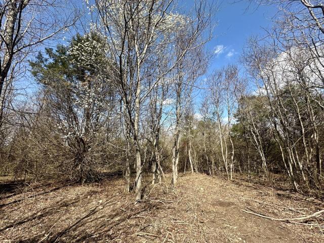 Lot 3 Mack Road