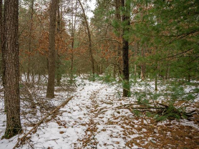 Lot 3 Meadow New Lisbon, WI 53950 | MLS #2016