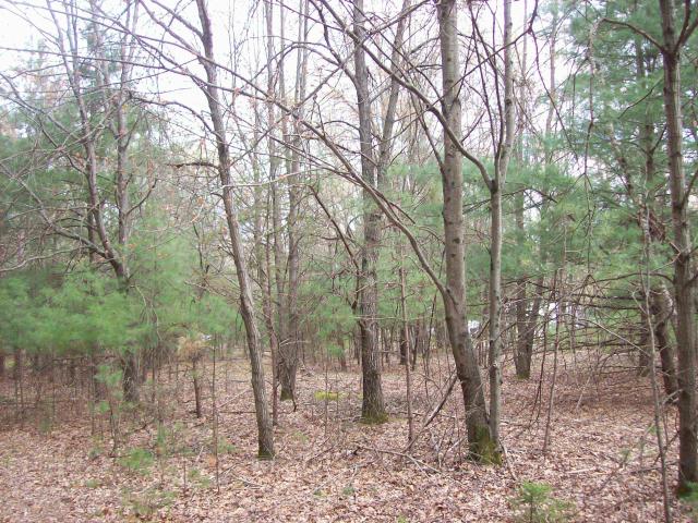 Lot 3 Meiller Road