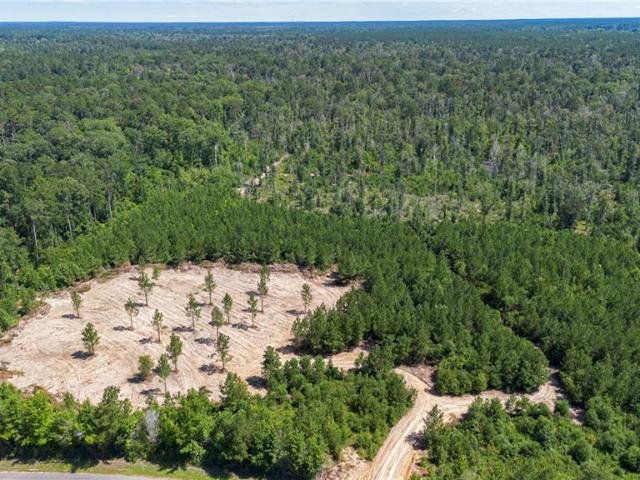 Lot 3 Mile Rd, Pitkin, LA 70656 | MLS #CN2537