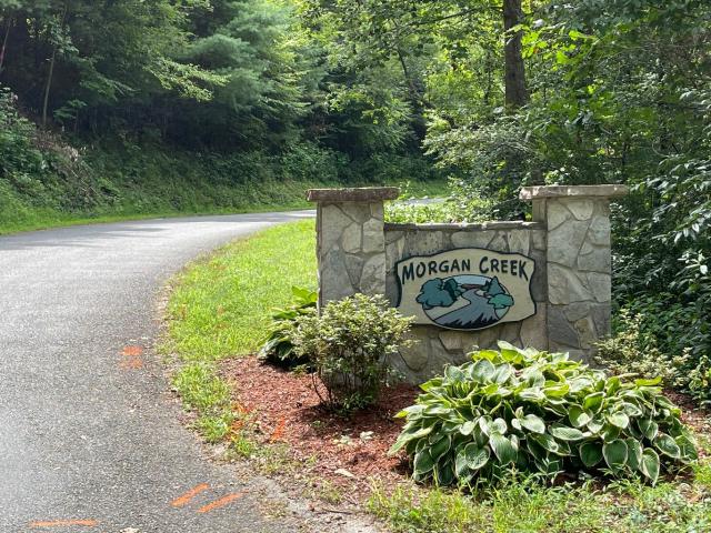 Lot 3 Morgan Creek, Unit PHII, Blairsville, GA 30512 | MLS #323455