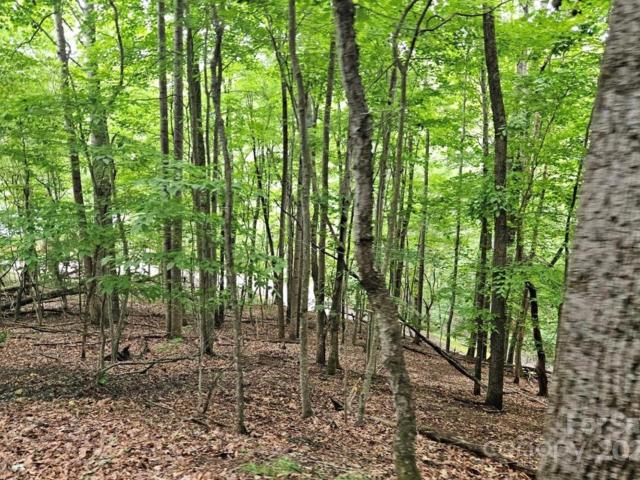Lot 3 Mountain View Road