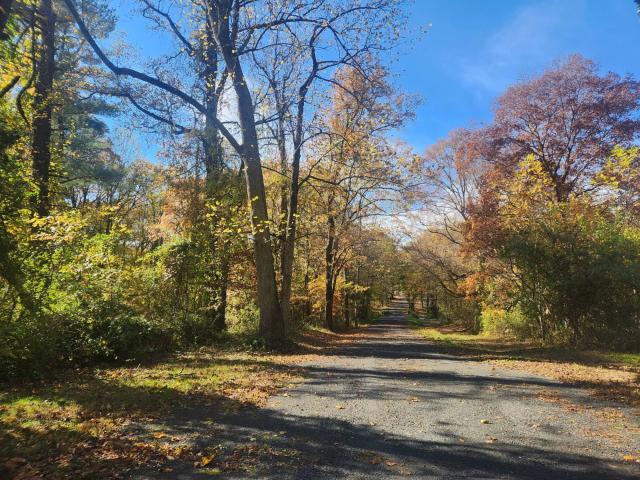 Lot 3 Mullins Court