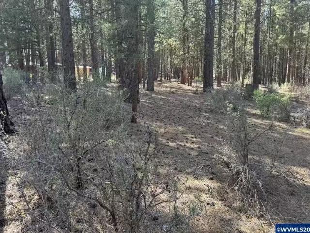 Lot 3 N Waterview Way, Chiloquin, OR 97624 MLS 817156