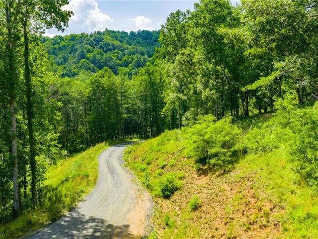 Lot 3 north fork new river Road