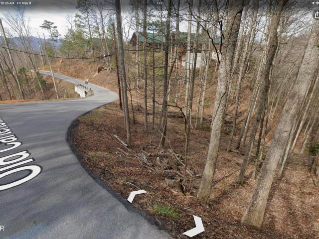 Lot 3 Old Cartertown rd 4.49 acres Road