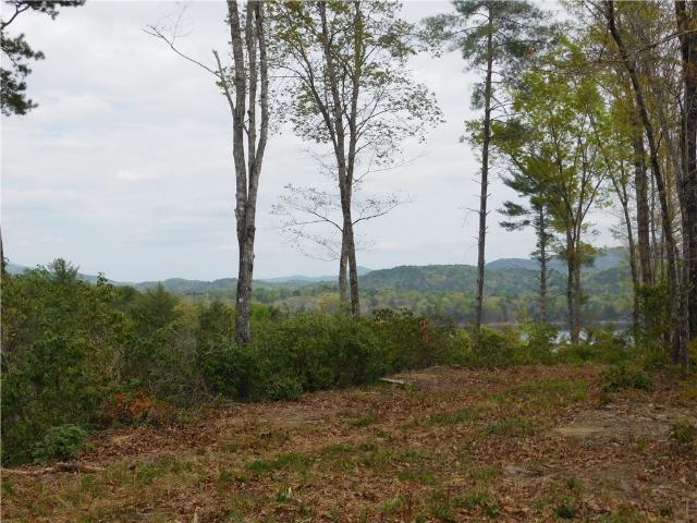 Lot 3 Old Chapman Bridge Rd, Salem, SC 29676 | MLS #20250