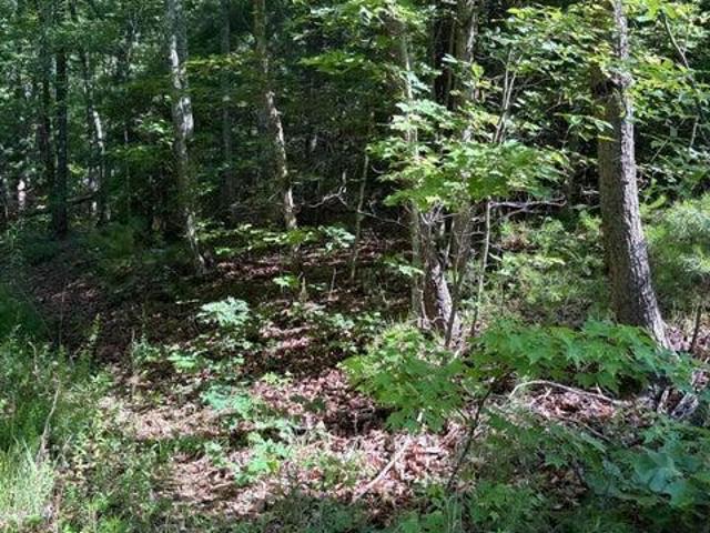 Lot 3 Old Furnace Rd