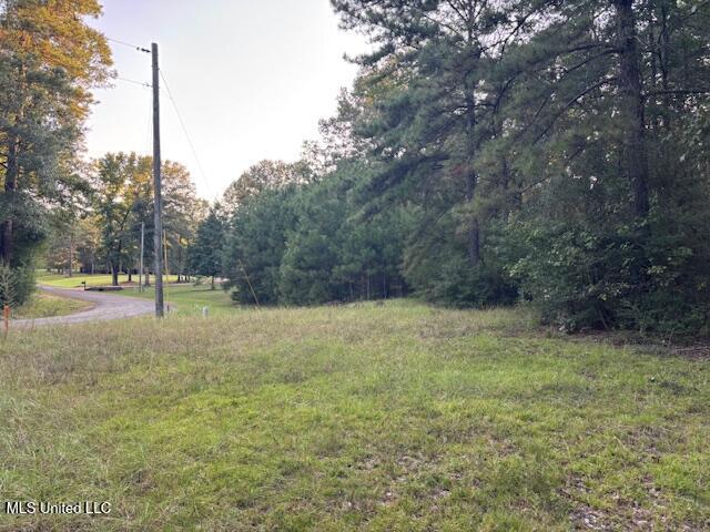 Lot #3 Park Place