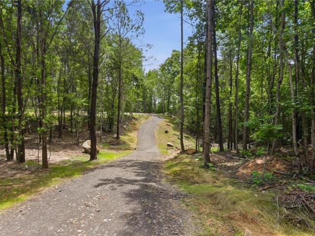 Lot 3 Pete Path