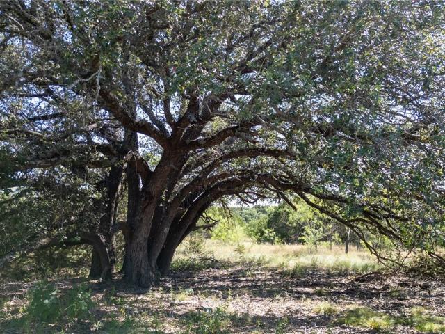 Lot 3 Ph 2 PR 4218