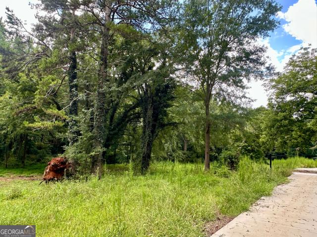 LOT 3 Pine Street 2.35 Acres