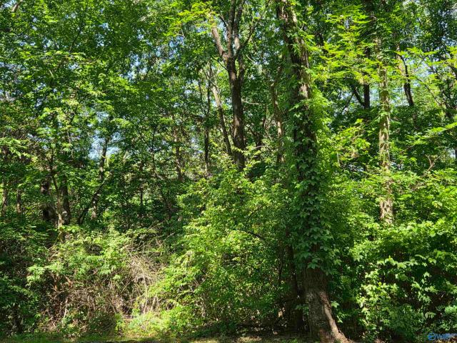 Lot 3 Pikes Peak Drive