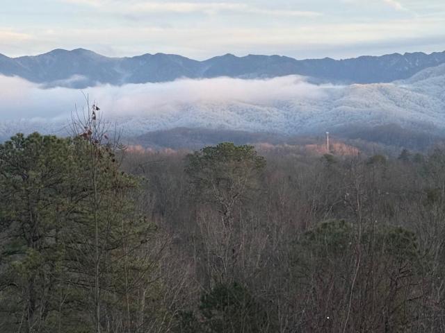 Lot 3 Powdermill Drive
