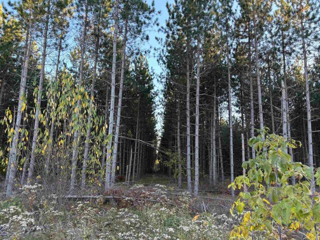 Lot 3 Plantation Road