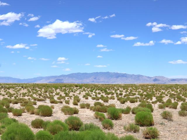 Lot 3 Rio Grande Estates