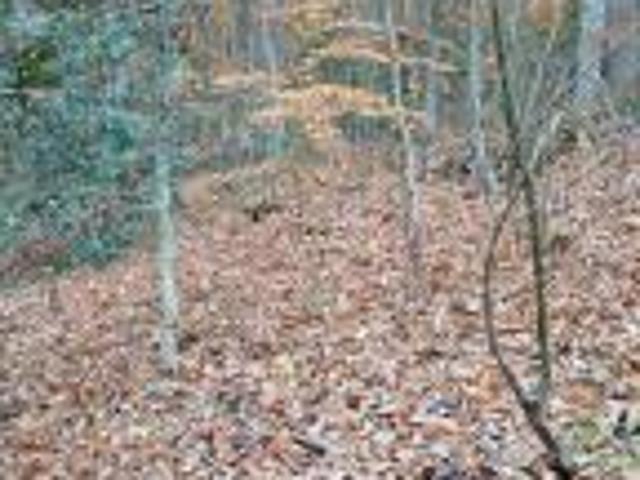 Lot 3 Rocky Ridge Road