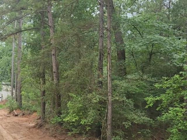 Lot 3 Scarlet Oak Drive