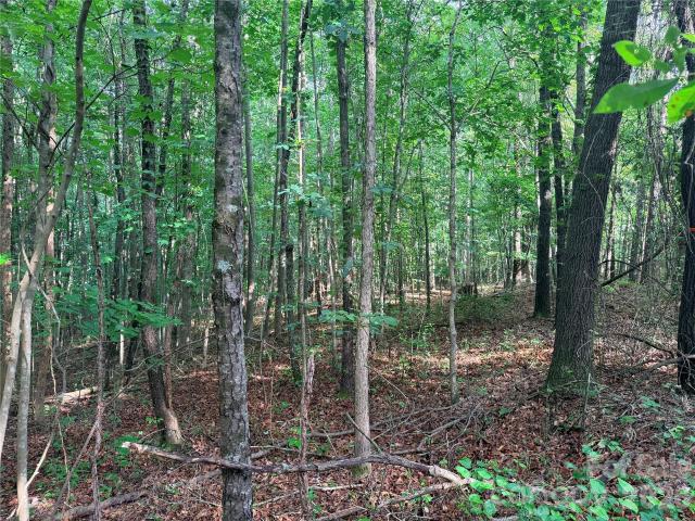 Lot 3 Schenck Farm Road