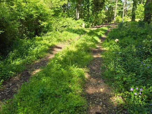 Lot 3 Seaside Lane