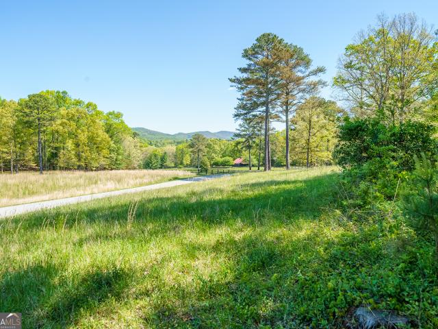 LOT 3 Spring Camp Road