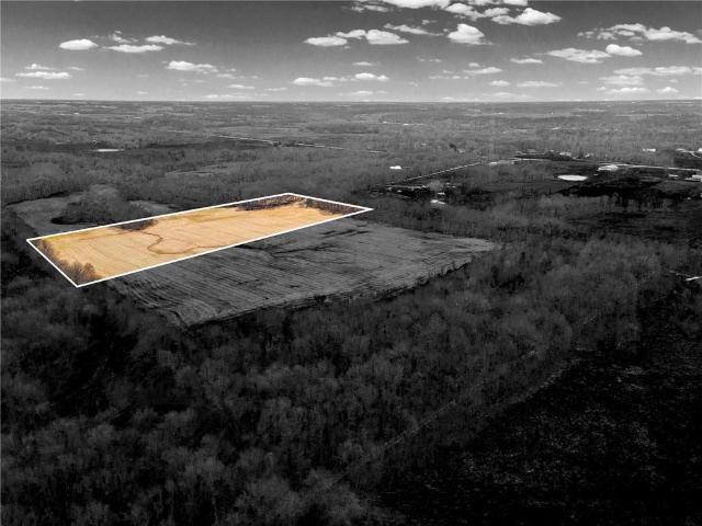 Lot 3 SW Brangus N/A