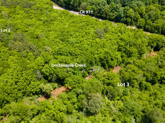 Lot 3 State Highway, Calhoun, TN 37309 | MLS #1356