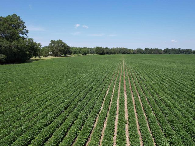 Lot 3 Sumter Hwy