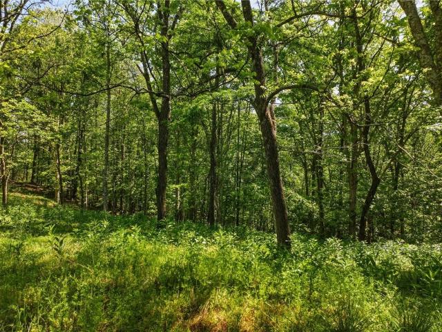 Lot 3 Summit Drive