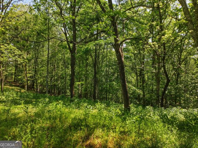 LOT 3 Summit Drive