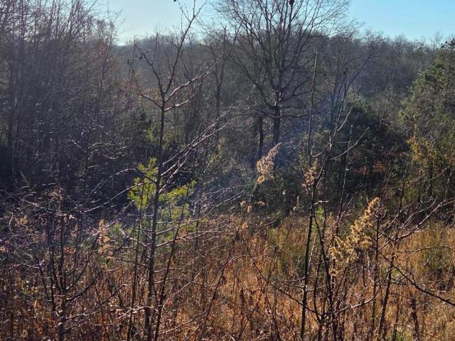 Lot 3 Sugar Maple Court
