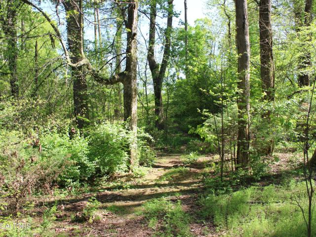 Lot 3 Sugar Maple Court