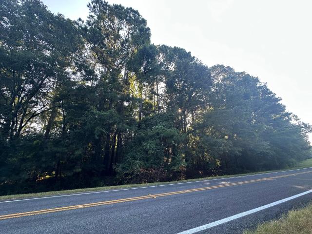 Lot 3a Elberton Highway