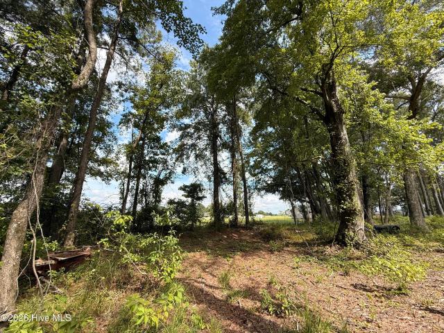 Lot 3a Holland Road