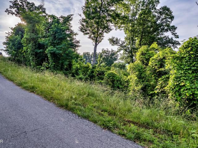 Lot 0002 Ellis Ogle Road