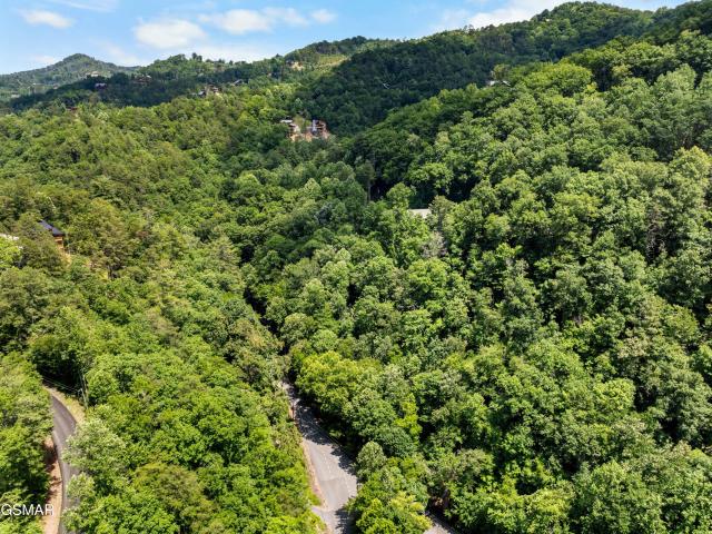 Lot 0002 N Clear Fork Road