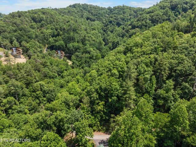 Lot 0006 Wildcat Ridge Rd