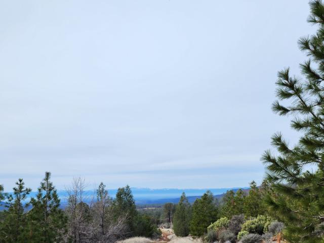 Lot 01 Woodcutter's Way, Manton, CA 96059 | MLS #26 611 | Compass